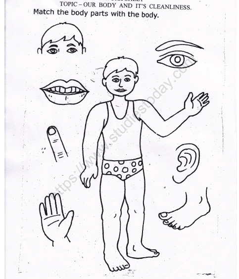 CBSE Class 1 EVS Our Body And Cleanliness Worksheet